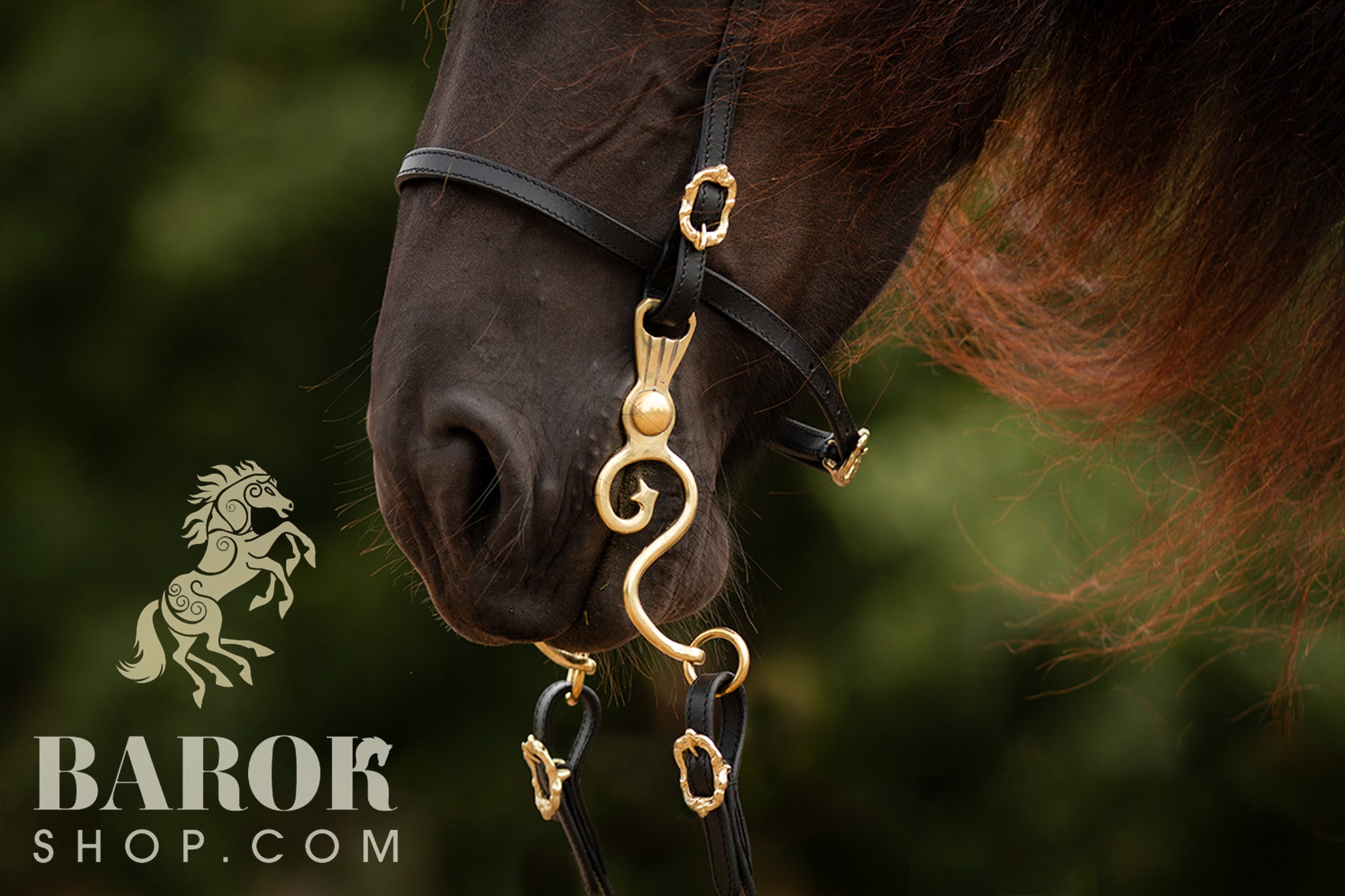 Spanish Bit "Alta Escuela" Gold