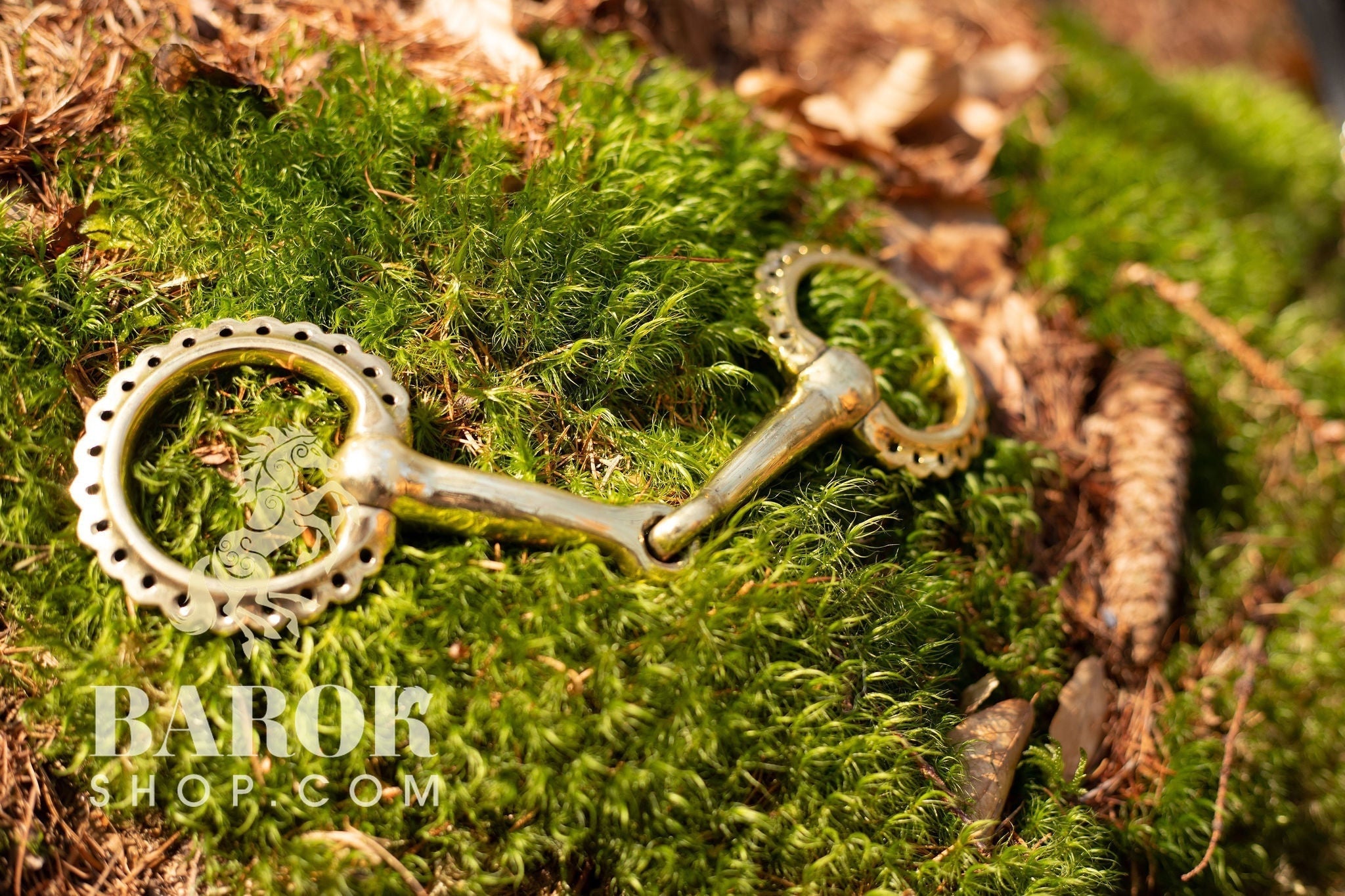 Hungarian Bit Vladimir