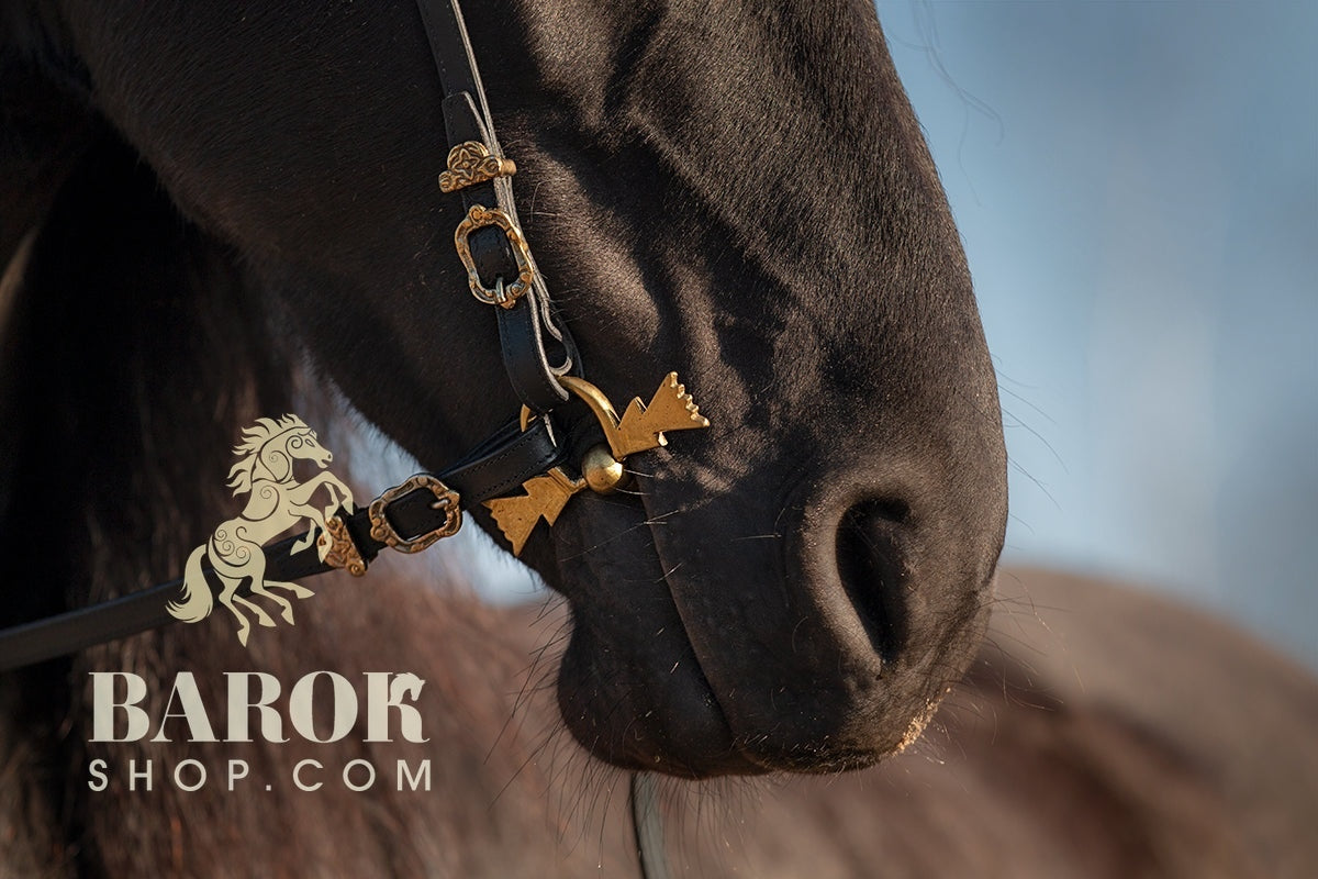 Medieval Viking Bit "Thor"
